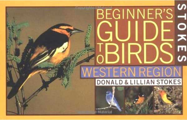 Birding Books for Beginners