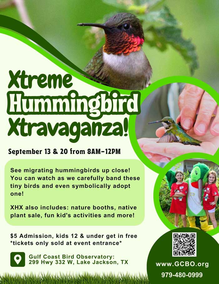Hummingbird Festivals 2025. Plus Banding Events, Exhibits, Workshops.
